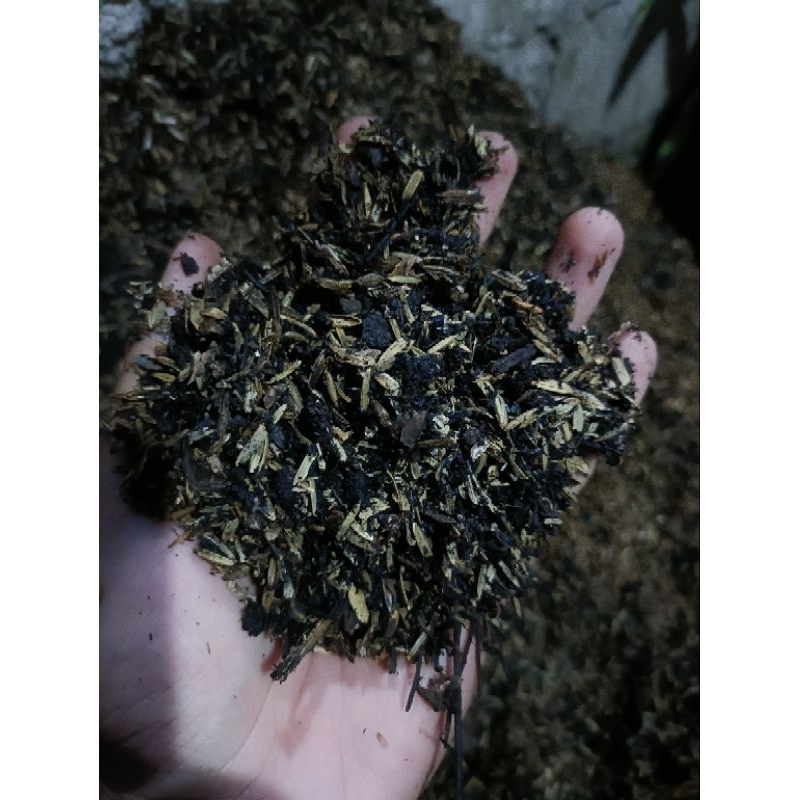 Jual media tanam berbagai macam tanaman hias berat 1kg | Shopee Indonesia Jual media tanam berbagai macam tanaman hias berat 1kg | Shopee Indonesia