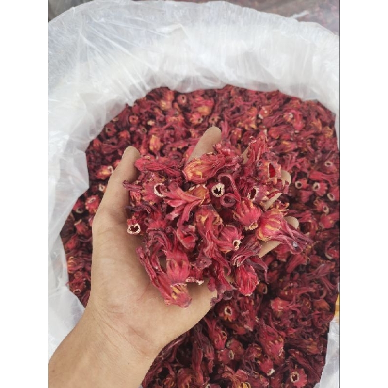 Jual Bunga Rosella Rosela isi 250 Gram Kering Basah Segar | Shopee ...