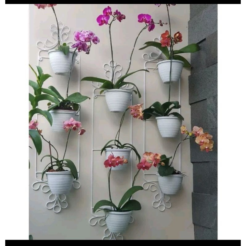 Jual STANDING POT DINDING/RAK ANGGREK | Shopee Indonesia