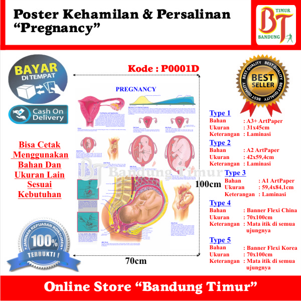 Jual POSTER KEHAMILAN DAN PERSALINAN PREGNANCY | Shopee Indonesia