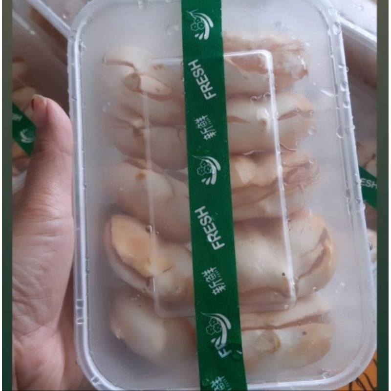 Jual Buah Lontar / Buah Siwalan FRESH | Shopee Indonesia