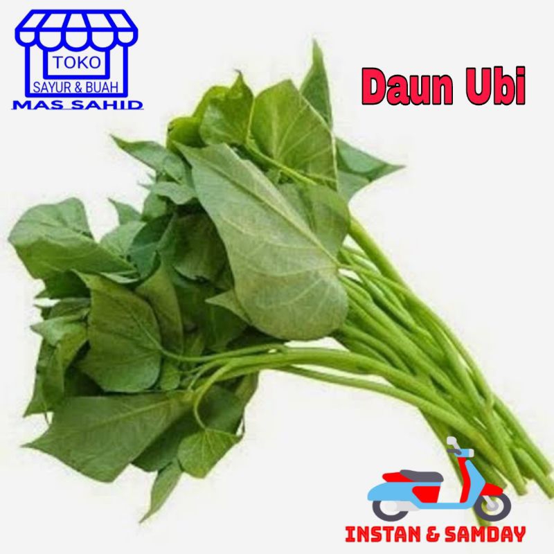 Jual Sayur Daun Ubi Satu ikat | Shopee Indonesia
