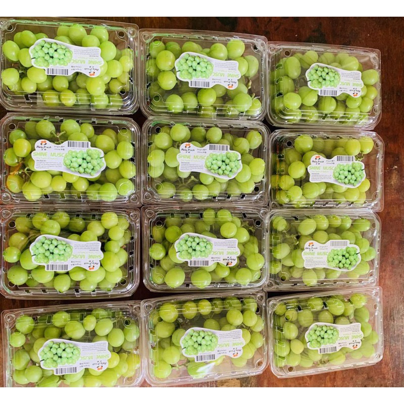 Jual Anggur shine muscat | Buah anggur Hijau shine muscat manis pack500 ...