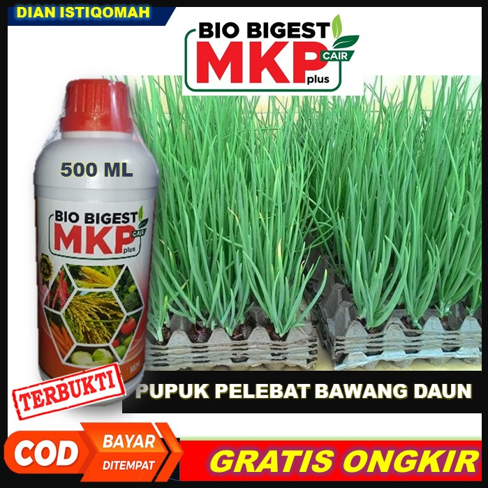 Jual AMPUH BIO BIGEST 500ml MKP Cair Plus Pupuk Melebatkan Tanaman Bawang Daun Dengan Kualitas ...