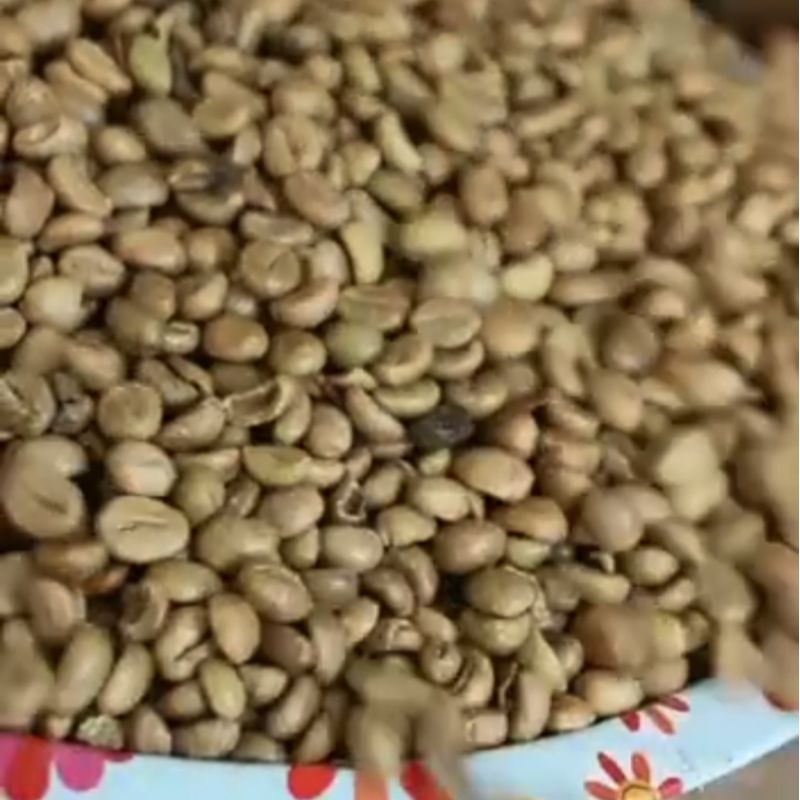 Jual #GREEN #BEAN #COFFEE #JAVA #ROBUSTA #DAMPIT #1KG #50% #PETIK # ...