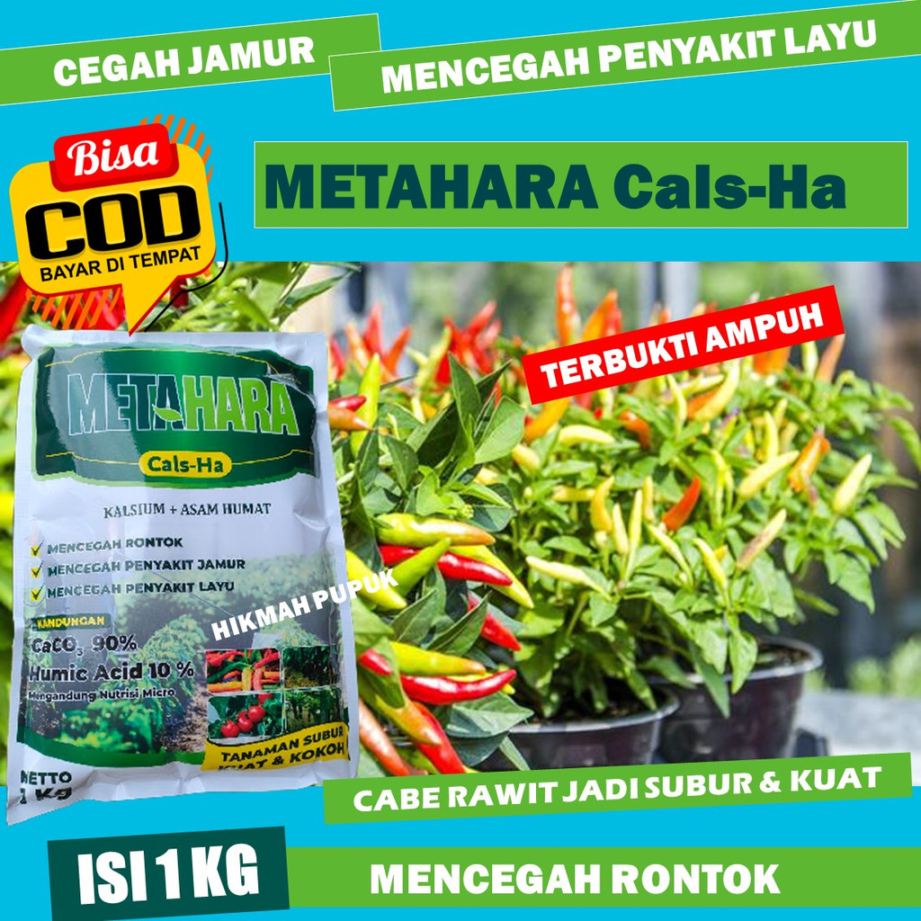 Jual PUPUK AJAIB PERBANYAK BUAH CABAI TERLARIS METAHARA Pupuk Cair ...