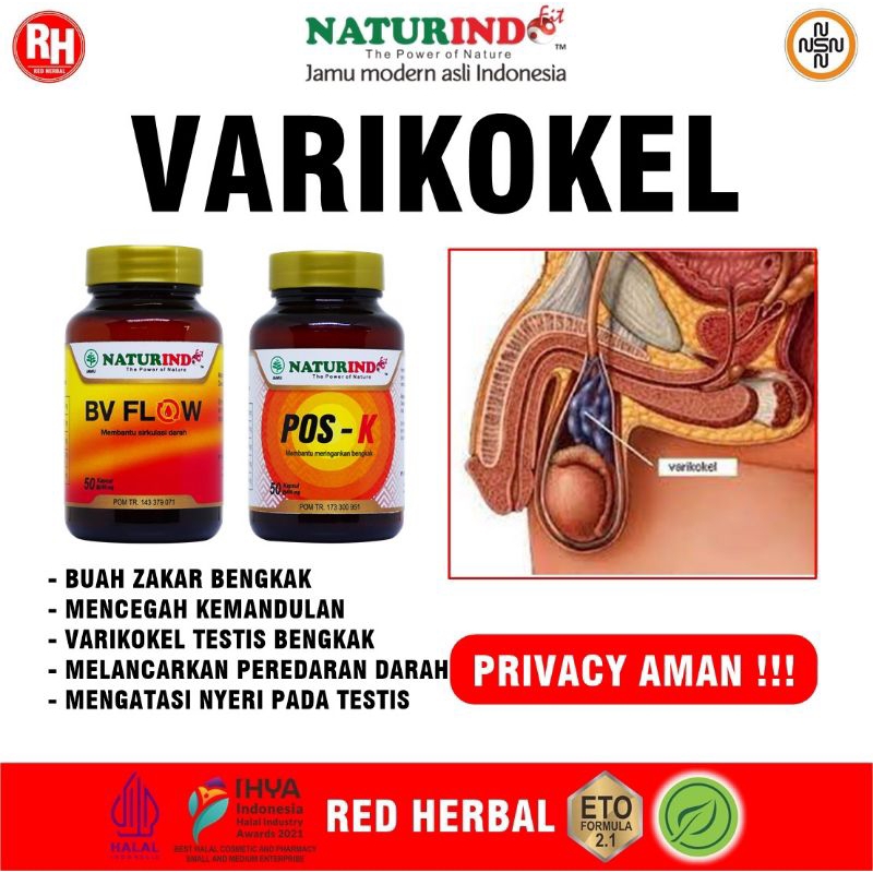 Jual Obat Varikokel Hernia Turun Berok Beruk Kanker Prostat Tanpa ...