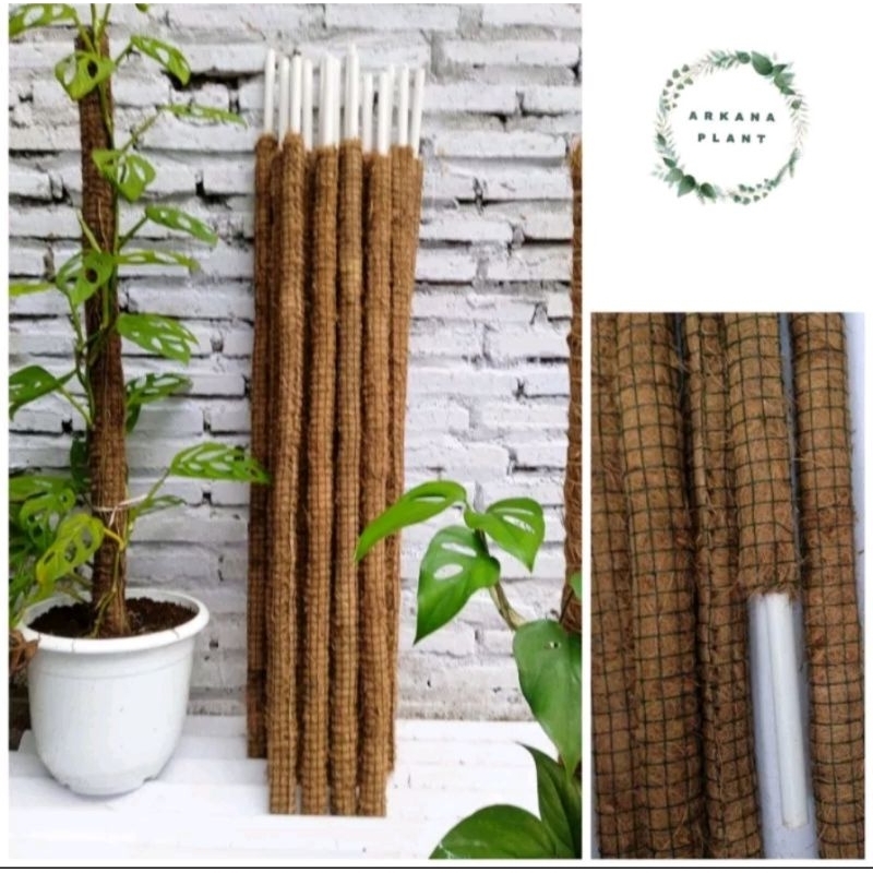 Jual Turus / Penyangga Tanaman 150 Cm, diameter Turus 6 Cm | Shopee ...