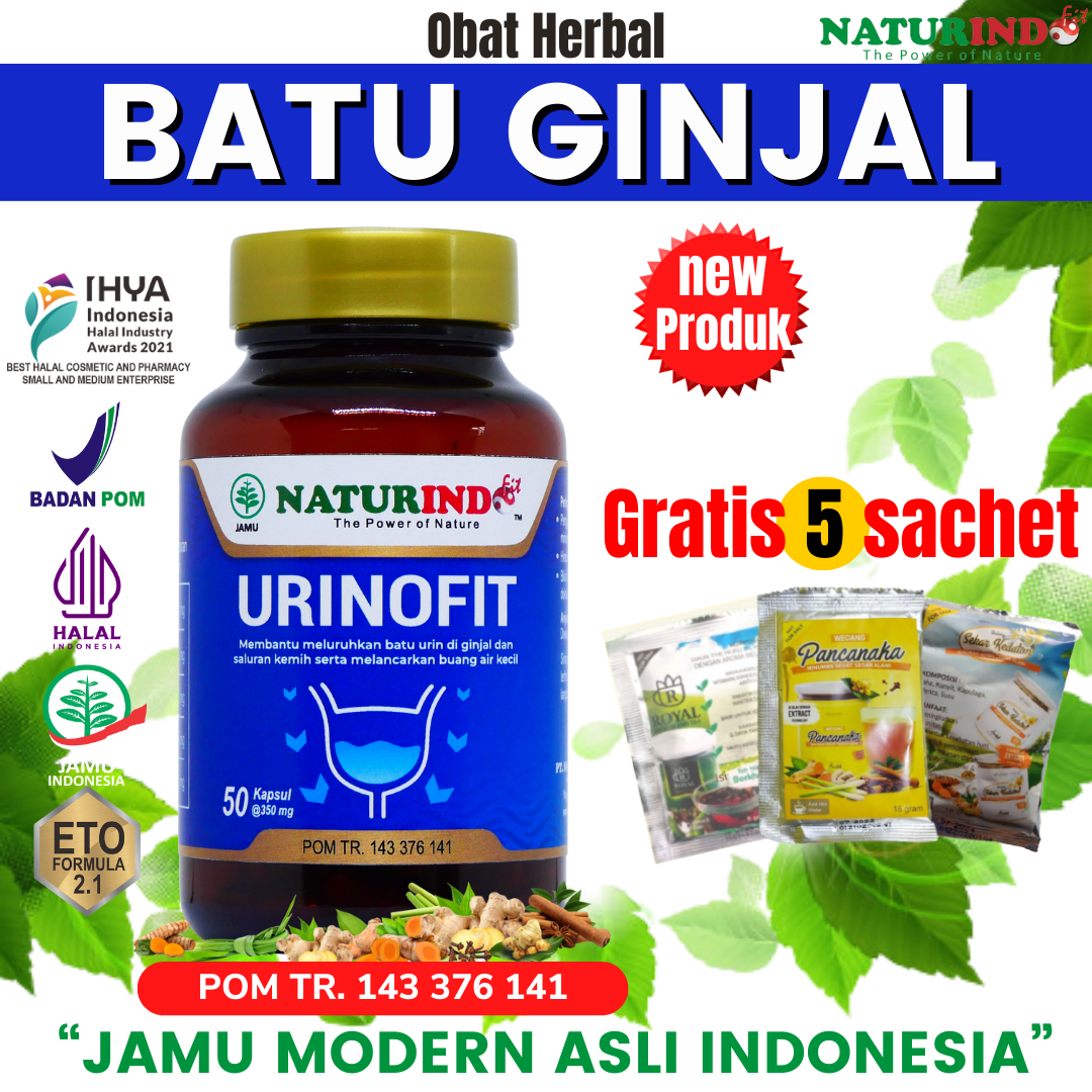 Jual Obat Batu Ginjal Paling Ampuh Urinofit Naturindo | Shopee Indonesia