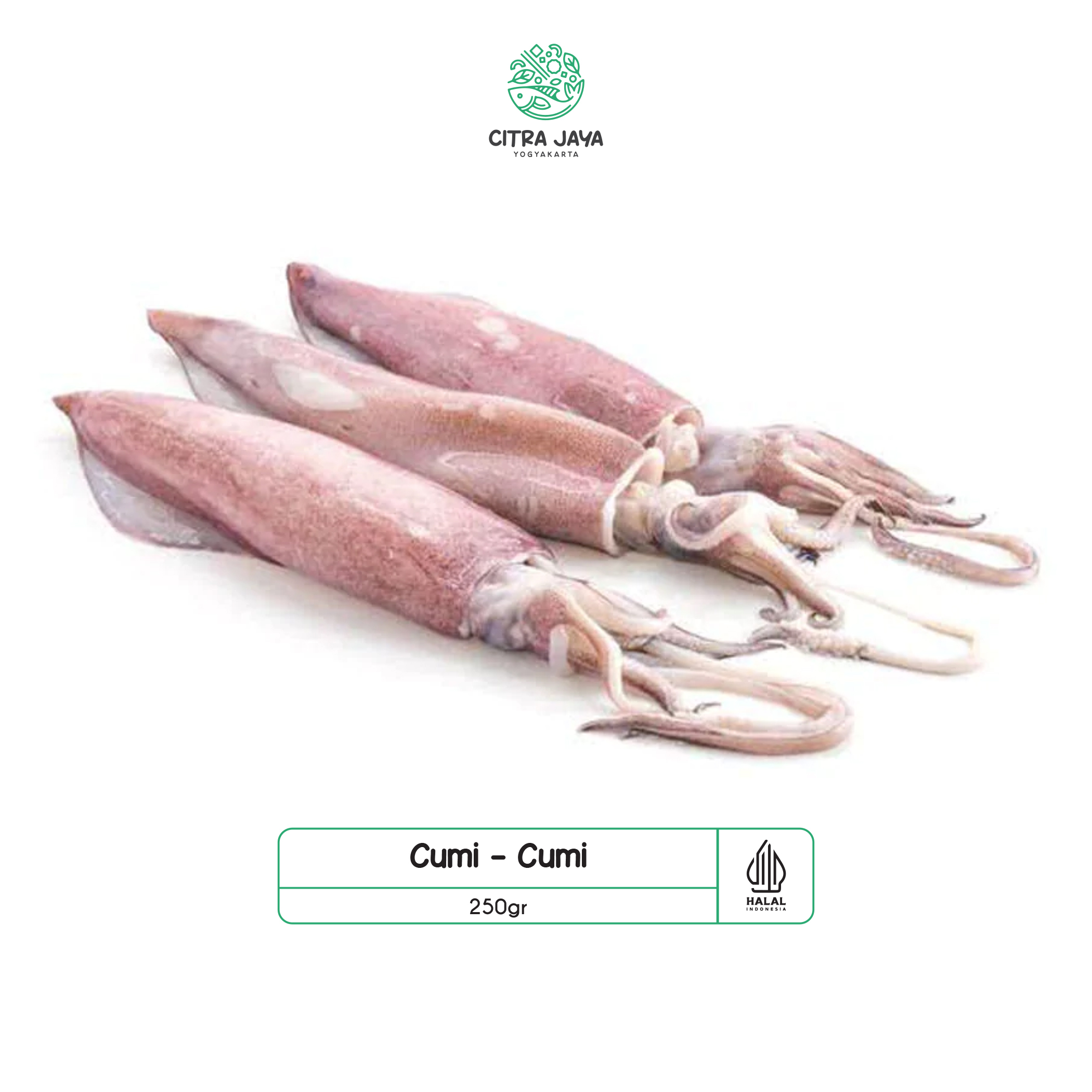 Jual Cumi Cumi Segar 250g - Citra Jaya Yogyakarta | Shopee Indonesia