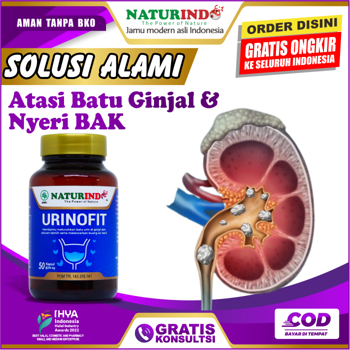 Jual URINOFIT OBAT GINJAL BATU GINJAL KENCING NANAH ISK KENCING SAKIT INFEKSI SALURAN KEMIH ...