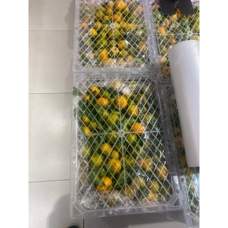 Jual Jeruk santang madu super manis | jeruk shantang madu box 6,5 kg ...