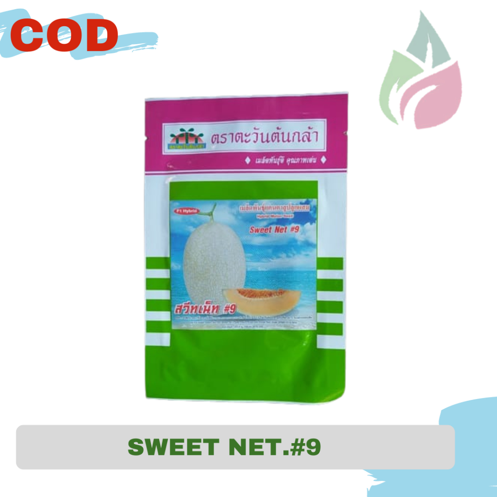 Jual Benih buah melon sweet nett 9 asli F1 Original pabrik kemasan 10 ...