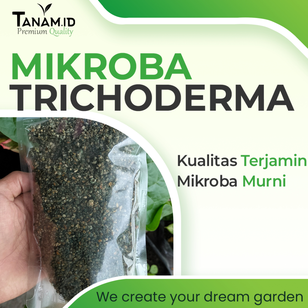 Jual TRICHO MURNI, mikroba trichoderma padat, pengendali penyakit ...
