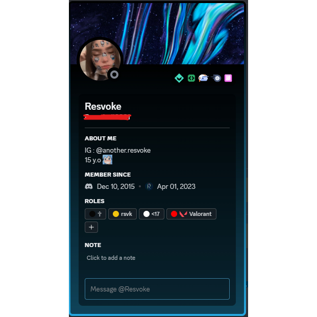 Jual Akun Discord Tahun 2015 + Badge Early Supporter + Tag Badge ...