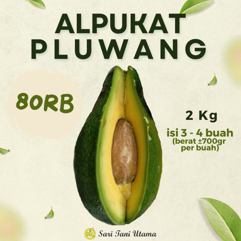 Jual Alpukat Mentega Pluwang 2Kg Isi 3-4 Buah | Shopee Indonesia