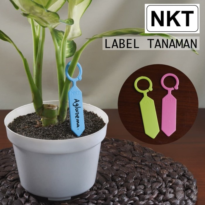 Jual label tag tanaman nkt warna warni name tag bahan tebal - SATUAN | Shopee Indonesia