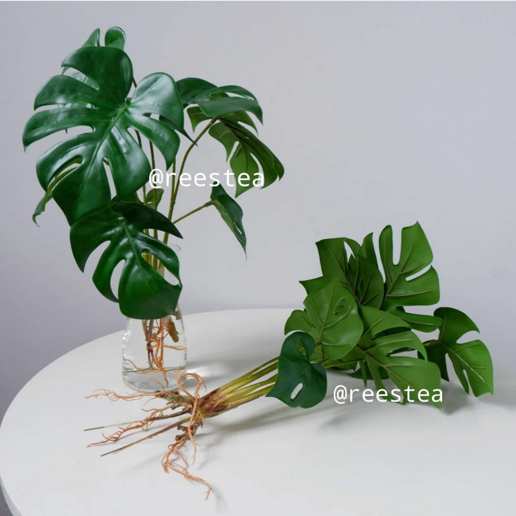 Jual Pohon Akar Monstera variegata Daun 8/ artificial plant/ pohon Hias ...