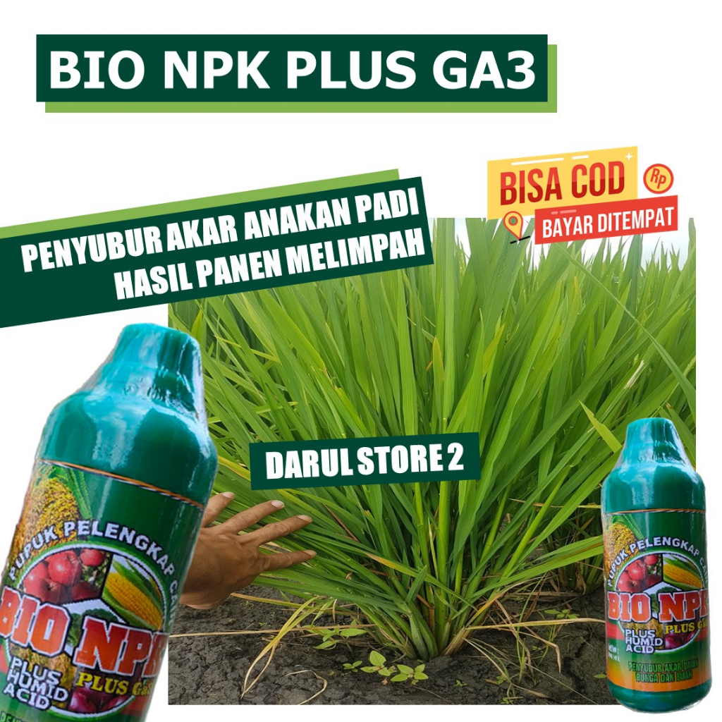 Jual (PENYUBUR PADI TERBAIK) NPK GAZA PUPUK Semprot SAAT PADI BUNTING Terbaik isi 500 ML - Pupuk ...
