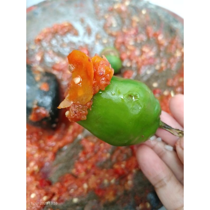Jual cabe bendot garut 250gr | Shopee Indonesia