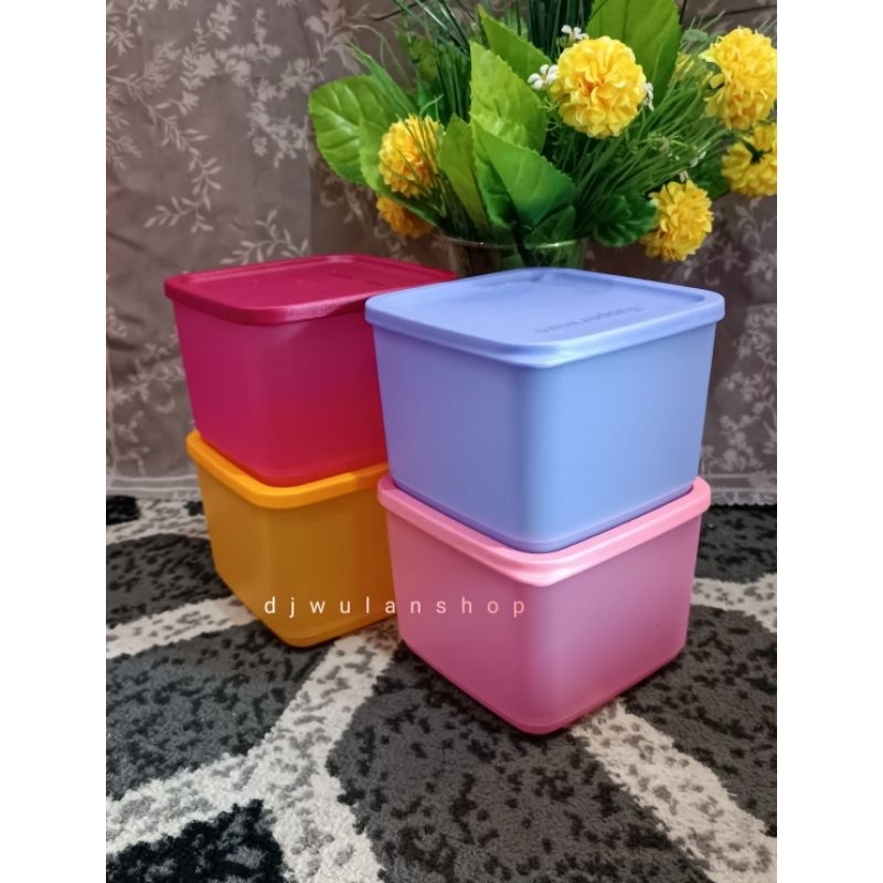 Jual toples Tupperware Medium summer/ Medium tropical fiesta | Shopee ...
