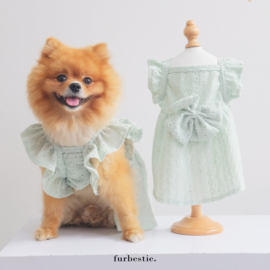 Jual Furbestie by Pomapoo - Baju Kucing dan Baju Anjing Flore Dress | Shopee Indonesia