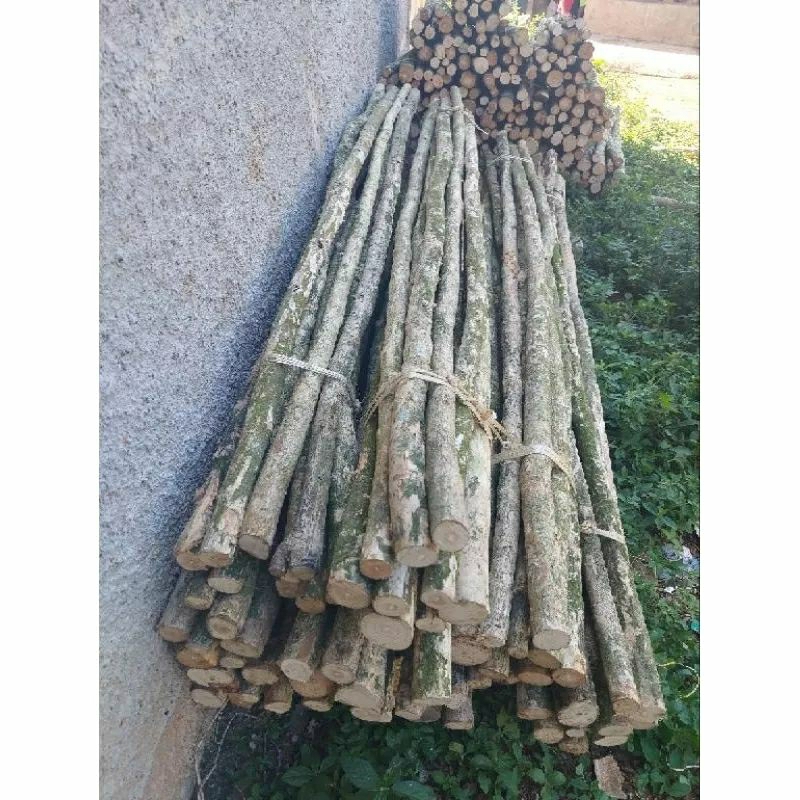 Jual batang kayu kopi media 1 meter media tanam anggrek angkringan ...