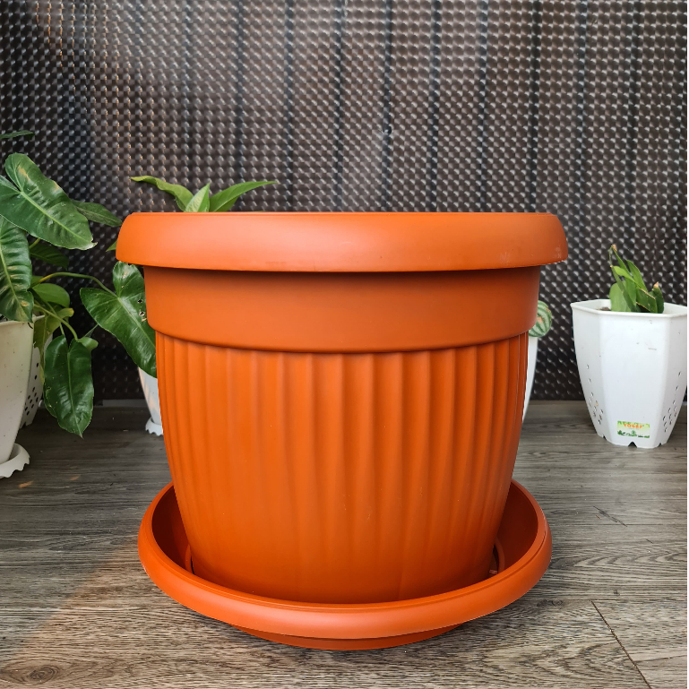 Jual POT BUNGA TANAMAN CLARIS MERAH BATA + TATAKAN BAWAH MURAH MERIAH ...