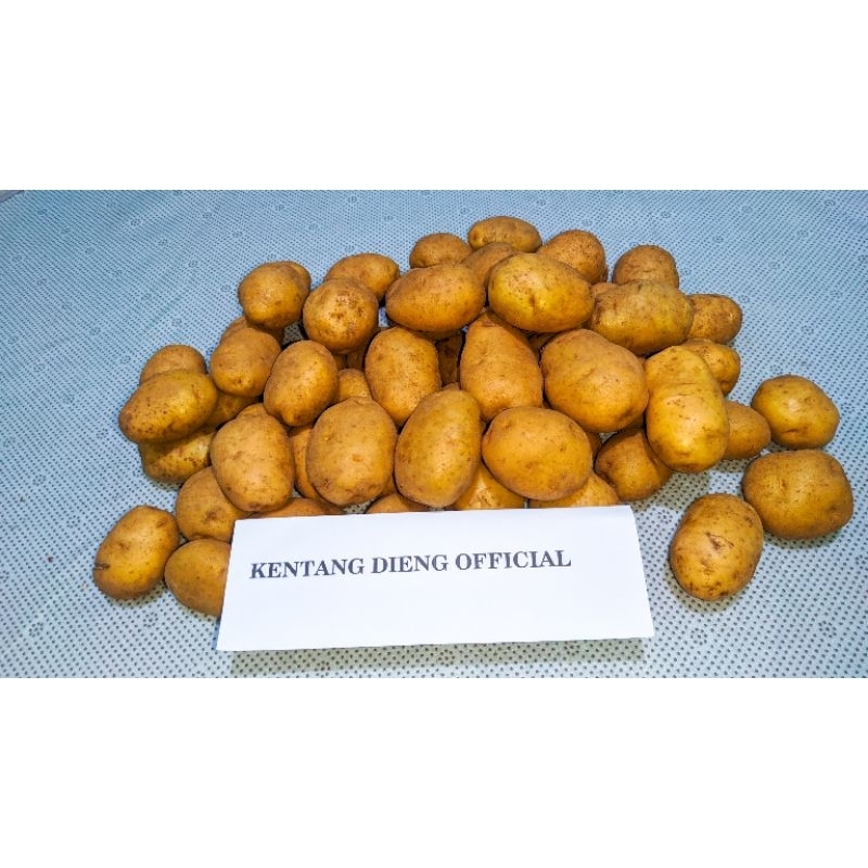 Jual Kentang Dieng 1kg (Besar & Super) | Shopee Indonesia