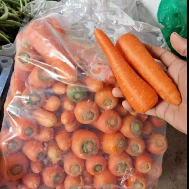 Jual Wortel Buah Lokal Organik 1kg | Shopee Indonesia