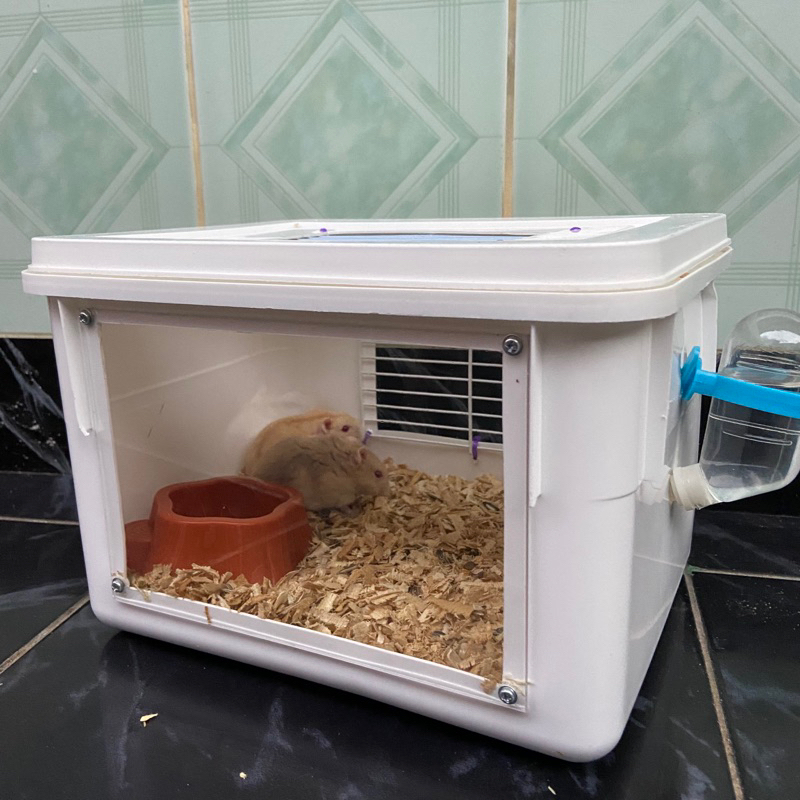 Jual Kandang Hamster / Landak Mini / Gerbil / Marmut Reptil Box Eskrim ...