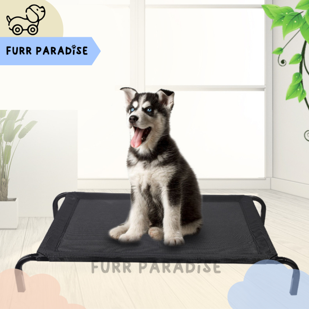 Jual Elevated Bed , Place Mat , Pet Bed , Kasur Anjing ,Pet cot , Place ...