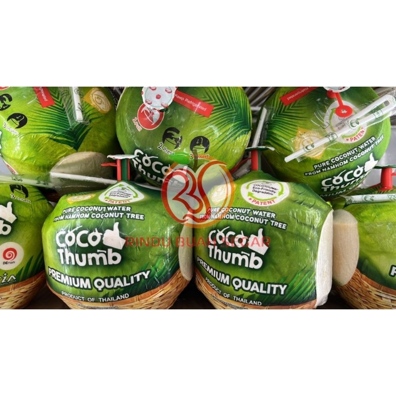 Jual coco thumb (kelapa thailand) | Shopee Indonesia
