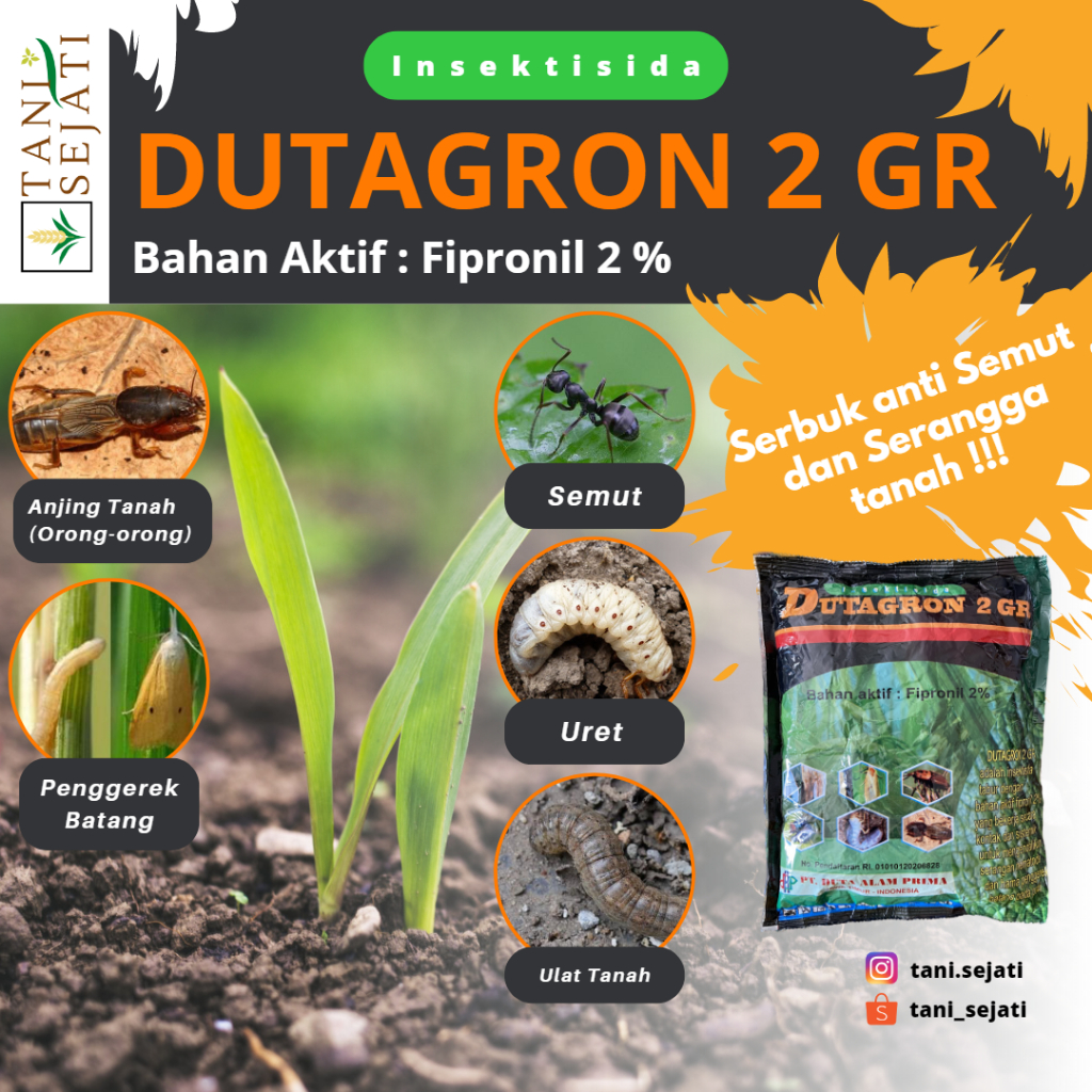 Jual Dutagron 2 GR Serbuk Anti Semut dan Serangga Tanah | Serbuk Anti ...
