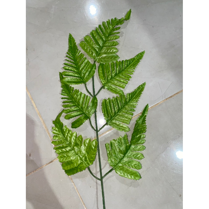 Jual Daun Pakis Artificial | Shopee Indonesia