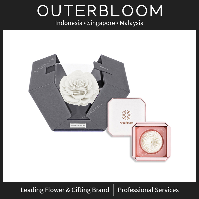 Jual Outerbloom x Nestbloom The Novo Astoria NestBloom Gift Box | Shopee Indonesia
