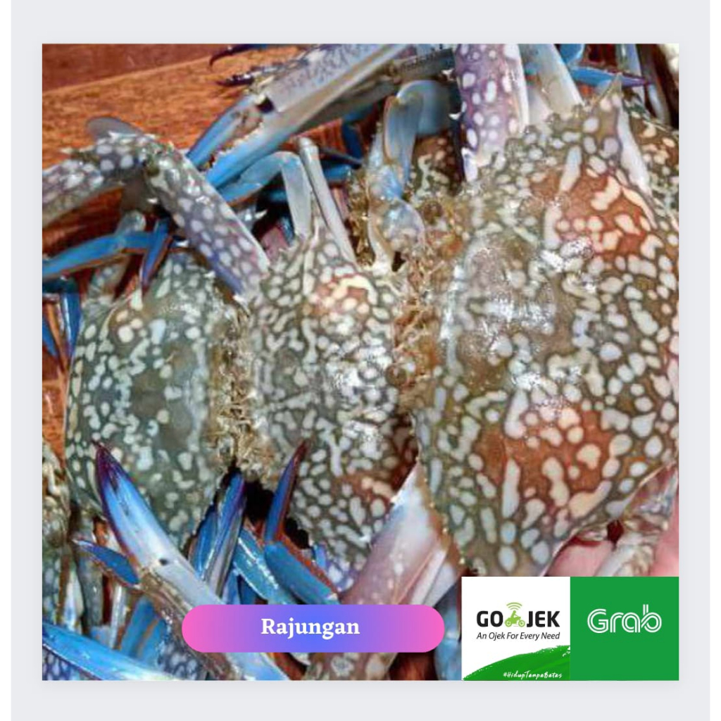 Jual Rajungan Segar 1Kg | Shopee Indonesia