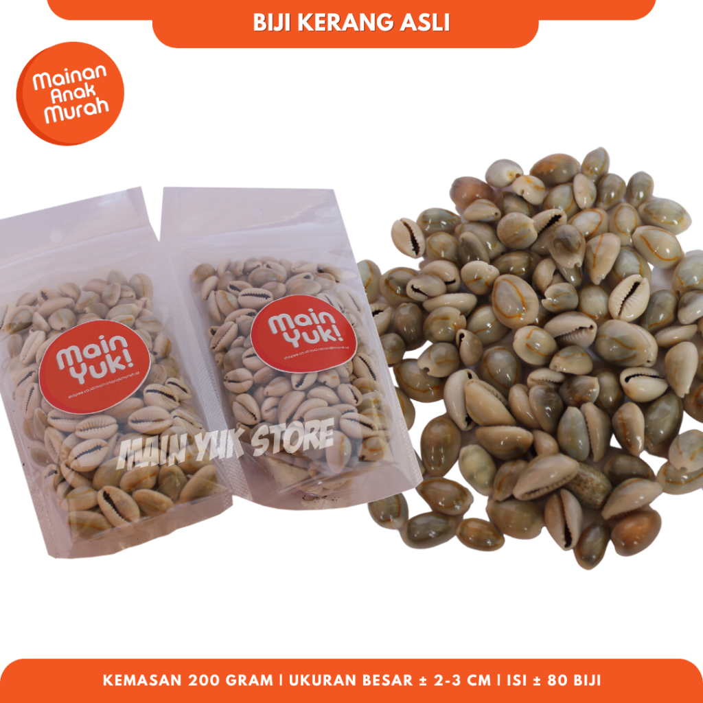 Jual Biji Dakon Bekel Congklak / Kuwuk Kerang Asli Refill 200 Gram ...