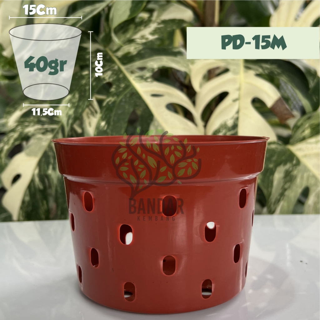 Jual Pot Anggrek Dendrobium Berbagai Macam Ukuran Pot Hidroponik Pot ...