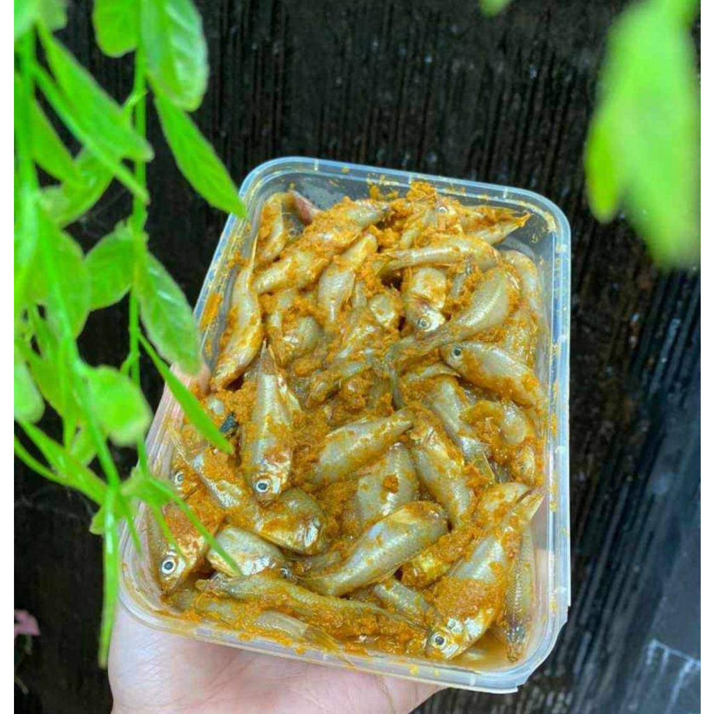 Jual Ikan Wader Frozen Sudah Ada Bumbu / Ikan Wader Siap Masak | Shopee ...