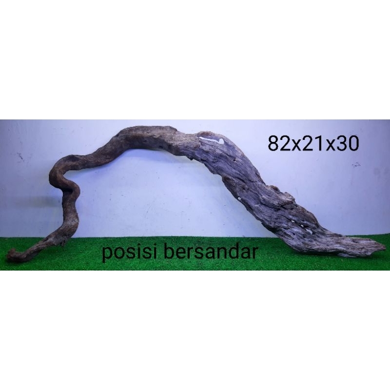 Jual Kayu Santigi Laut - Kayu Tenggelam - Aquascape - Channa - 82x21x30 ...