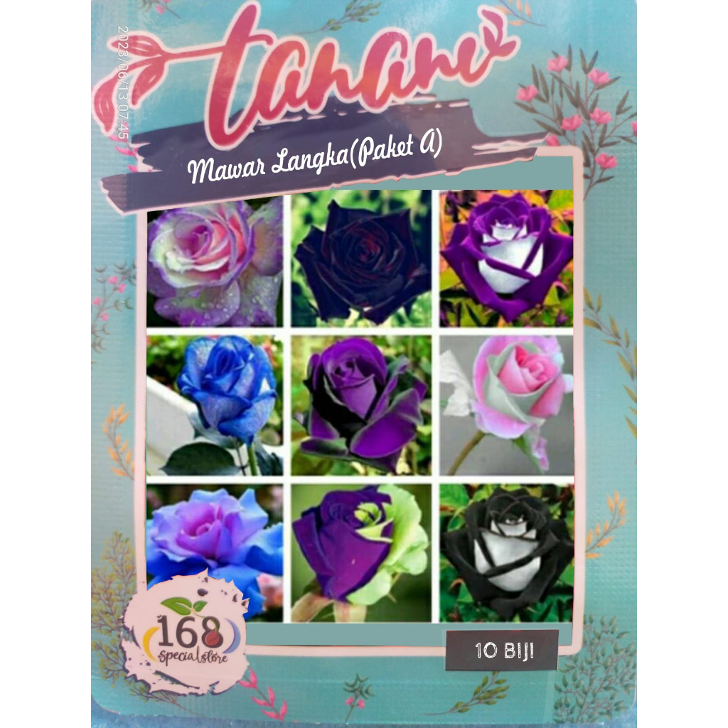 Jual Benih Bunga Mawar Langka Mix 10 Biji Bibit Mawar Benih Mawar Bibit ...