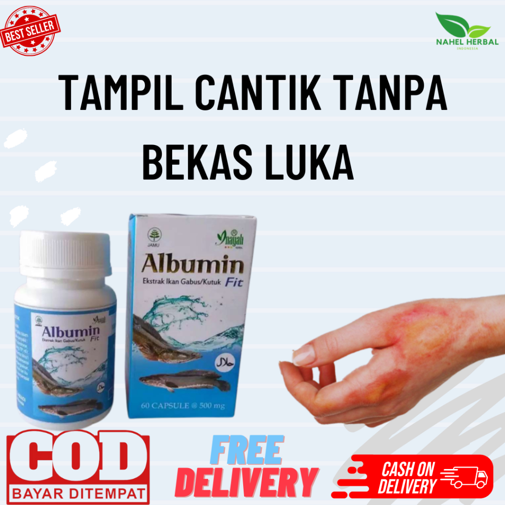 Jual [Cod] Kapsul Kutuk Albumin Minyak Ikan Gabus - Meningkatkan Kadal ...