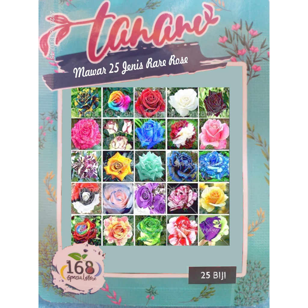 Jual Biji Bunga Mawar 25 Jenis Rare Rose Seeds | Shopee Indonesia