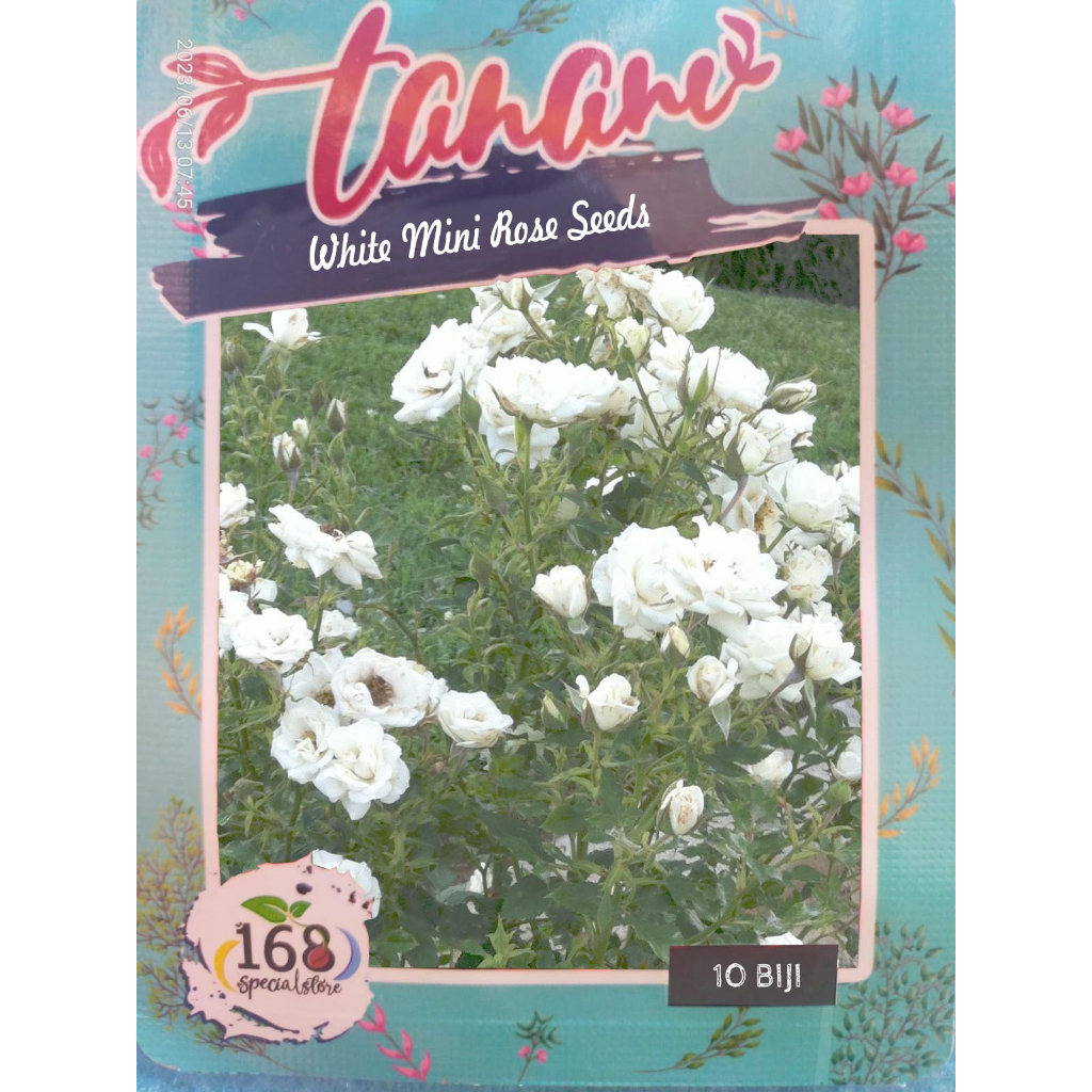 Jual Biji Bunga White Mini Rose Seeds Mawar Mini Putih (Isi 10 biji ...