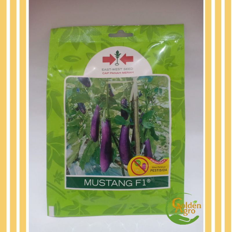 Jual BENIH BIBIT TERONG MUSTANG F1 400 BUTIR BIJI TERUNG | Shopee Indonesia