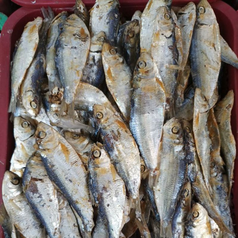 Jual Ikan Asin Tanjan rebus besar 250 Gram | Shopee Indonesia