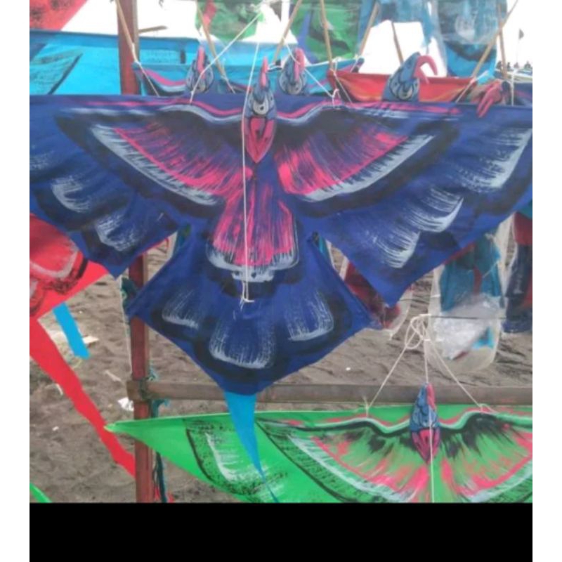Jual layangan pantai model burung garuda dari kain | Shopee Indonesia
