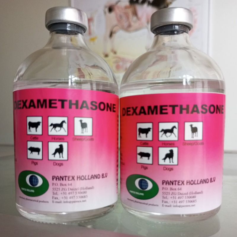 Jual Dexamethasone Injeksi Terlengkap & Harga Terbaru Mei 2026 | Shopee ...