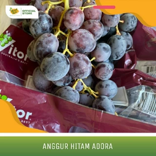 Jual Anggur Hitam Terlengkap & Harga Terbaru Mei 2024 | Shopee Indonesia